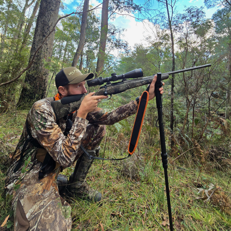 WALK'N'STALK - LIFT YOUR GAME