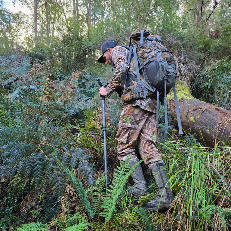 WALK'N'STALK - LIFT YOUR GAME