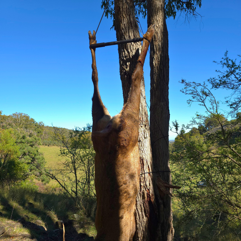 WALK'N'STALK - LIFT YOUR GAME