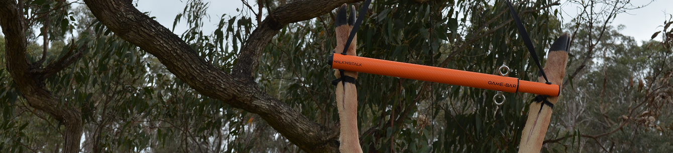 Product Landing Page – WALK'N'STALK